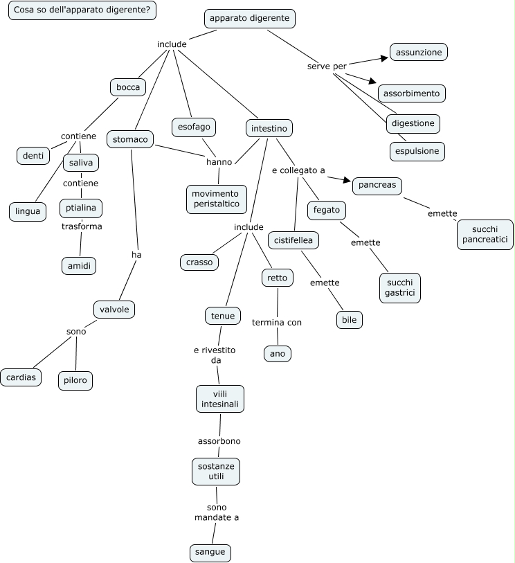 map conc apparato digerente Lorenzo
